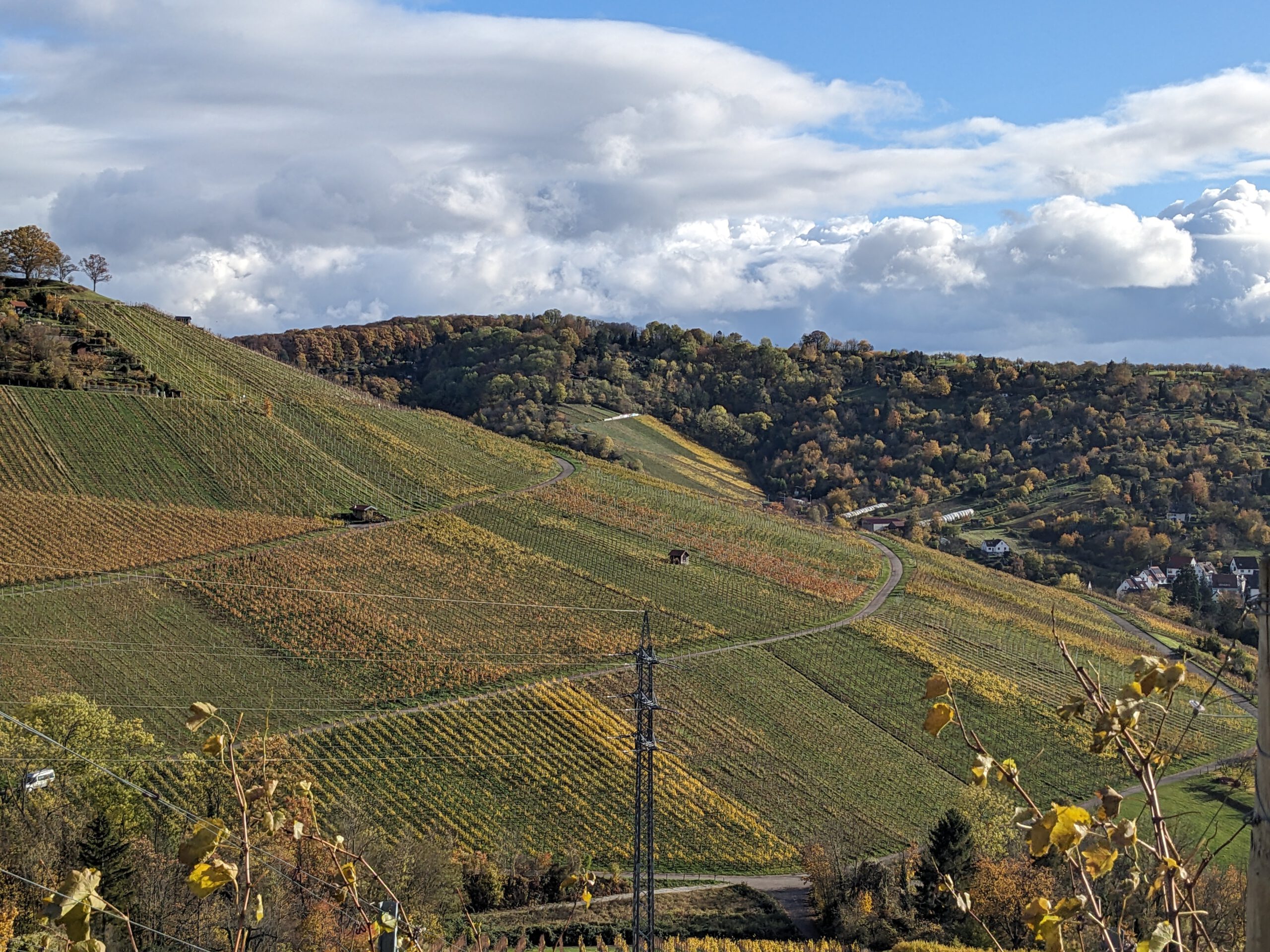 RadioRadio - Zwischen zwei Ländern - Jonathan Springer